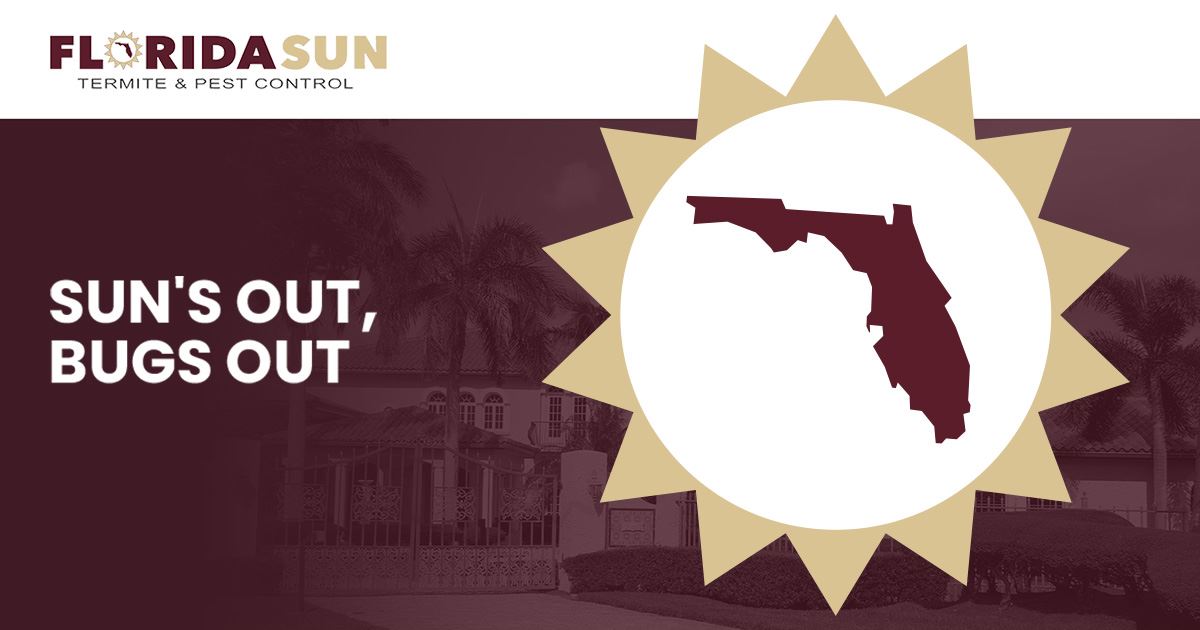 Termite & Pest Control Crawfordville | Florida Sun Termite & Pest
